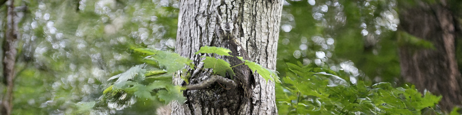One Great Example of Hiding Your Preps In Plain Sight — Emergency Zone