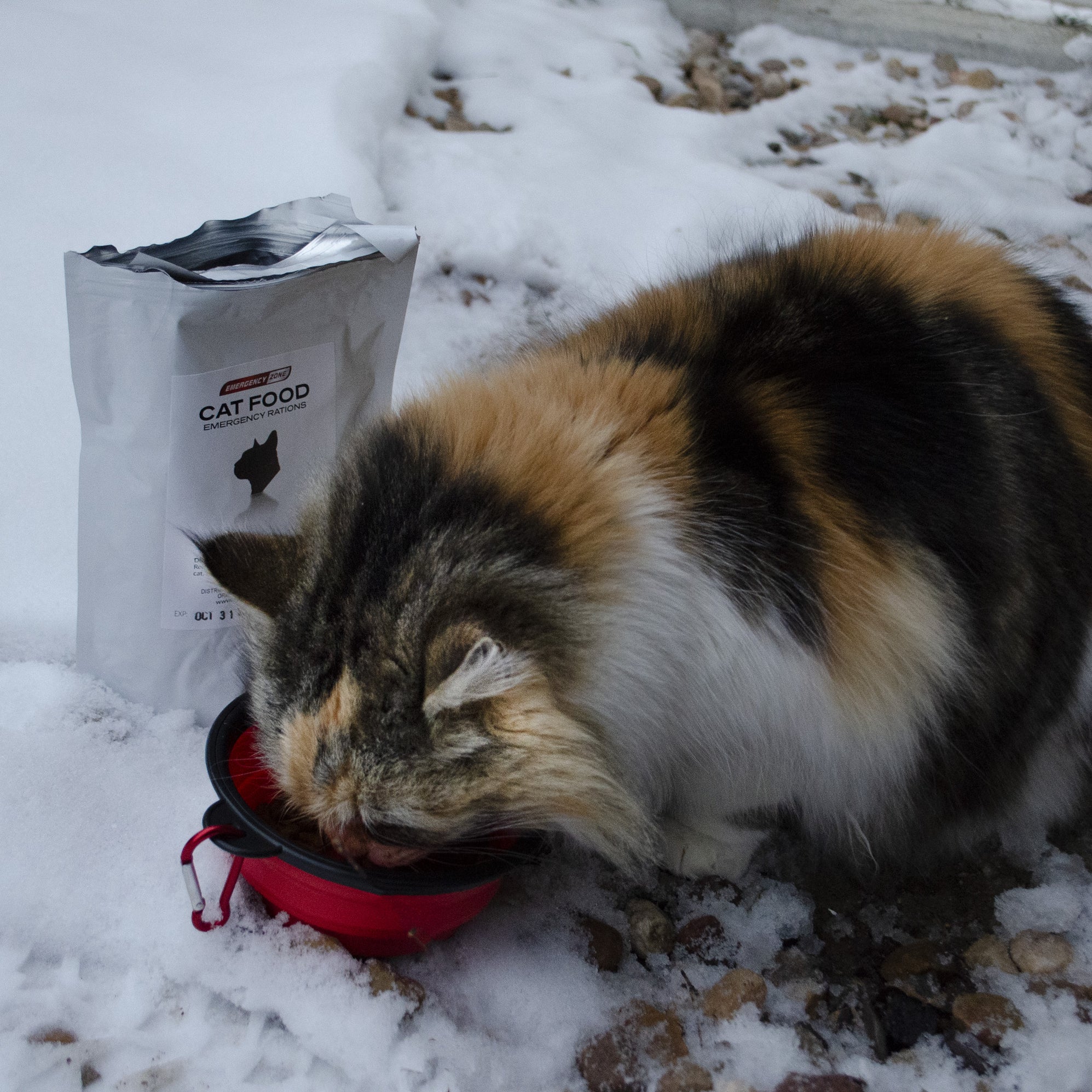 Deluxe Cat Bug Out Emergency Kit — Emergency Zone