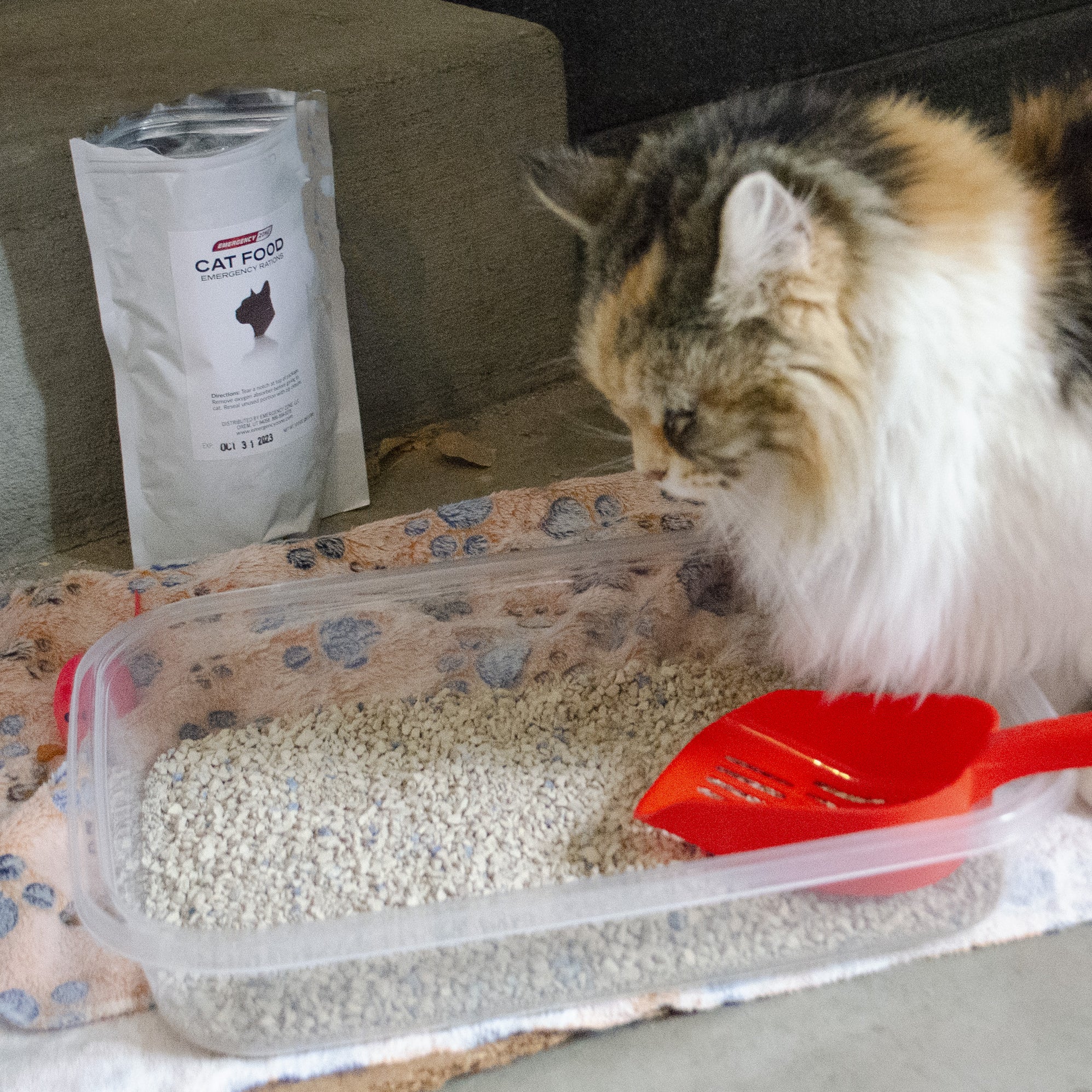 Basic Cat Emergency Kit — Emergency Zone